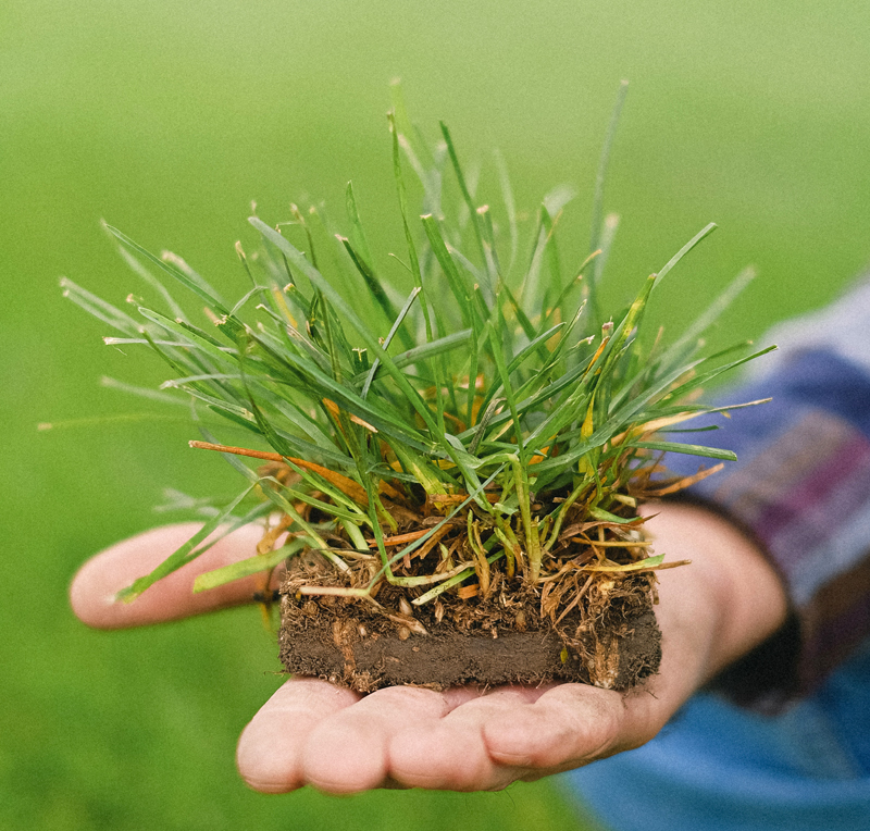 ASB taskTracker - About Us